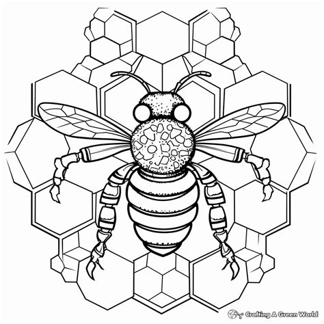 Honeycomb Printable Hexagon Tessellation Colorear Panal Hexagonal