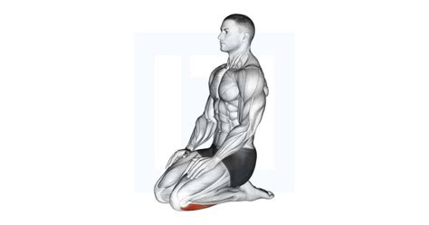 Ankle Circles Guide Benefits And Form