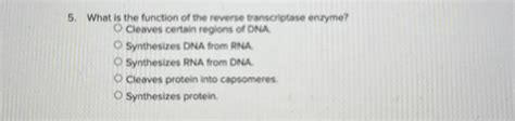 solved what is the function of the reverse transcriptase