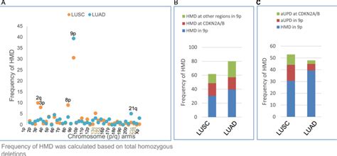 Frequency Of Homozygous Deletions In Lusc And Luad A Frequency Of Download Scientific Diagram