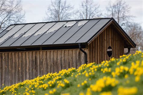 집 밖의 Jönköping 건축 경치 계절의 꽃 꽃 꽃이 피는 나무 질감 노란 꽃 노란색 농업 농업의 농장 농촌 풍경 들판 러스틱 목가적인