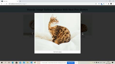 Reactjs Image Gallery Lightbox Working Demo Youtube