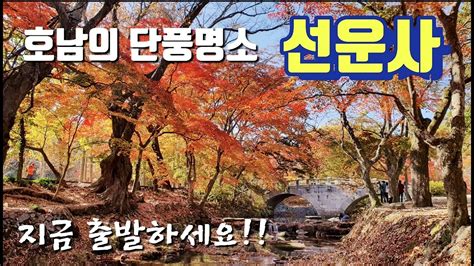 선운사 호남의 단풍명소 선운산 애기단풍 도솔암 Youtube