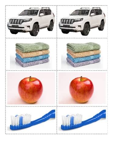 Aba Common Objects 40 Real Life Pictures Includes Duplicates For