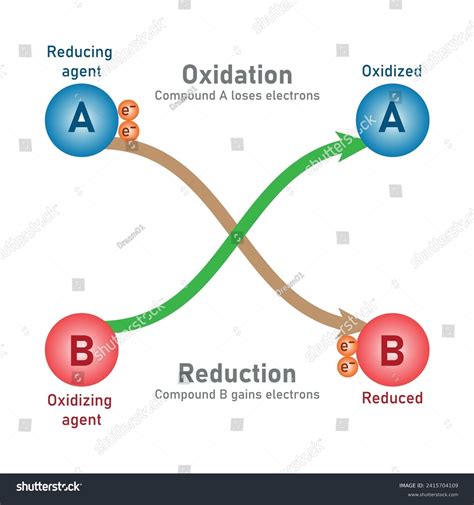 Oxidation Reduction Reaction Reducing Agent Oxidizing Stock Vector Royalty Free 2415704109