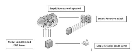 Dns Amplification Ddos Attack E Malformed Packet To Crash The Download Scientific Diagram