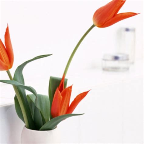 Pingle Wang 管理学院 Research Profile