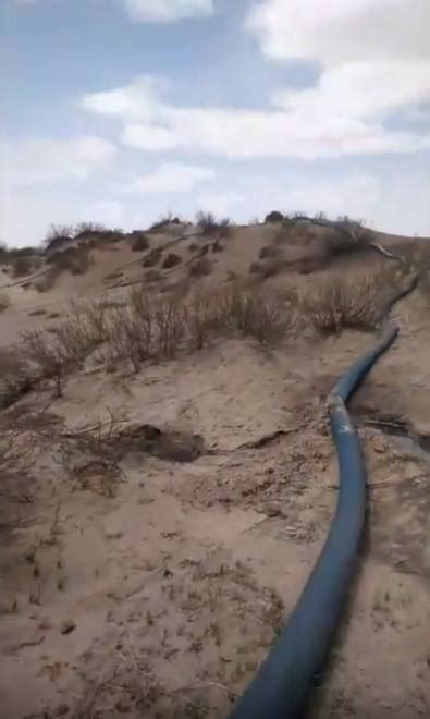 ХЯТАД ДАХИ ӨМНӨД МОНГОЛЧУУДЫН ХҮНИЙ ЭРХИЙН ЗӨРЧИГДЛҮҮД 2