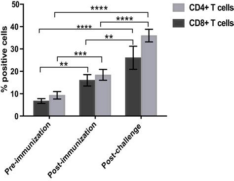 Comparison Of Cd8 And Cd4 T Cells In Live Vaccine Group At Download Scientific Diagram