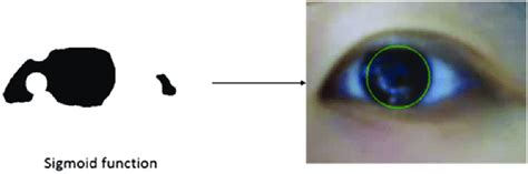 hough circle detection result download scientific diagram
