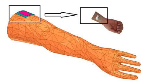 How Do You Simulate Wearable Antennas Microwave Journal