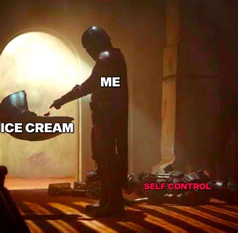 66 Ice Cream Memes That Are Lactose Free Bored Panda