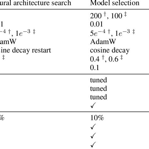 summary of hyperparameters used during the neural architecture search