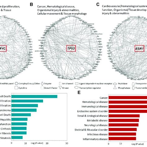 Disease Annotation And Ingenuity Pathway Analysis For The Gene Targets Download Scientific