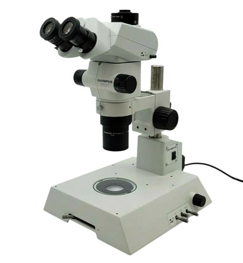 Compound Microscope Vs Stereo Microscope Microscope Marketplace