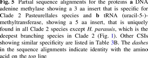 Partial Sequence Alignments For The Proteins A Dna Adenine Methylase