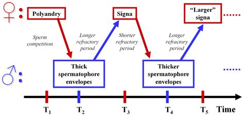 Coevolution Diagram