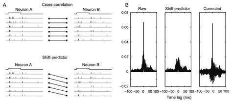 Cross Correlation Analysis And Shift Predictor A The Sketch For