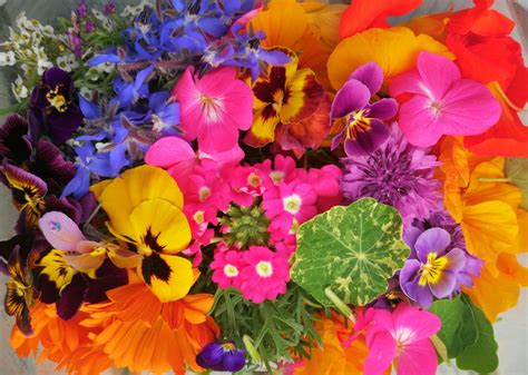 Αρχή της Ινδίκτου Εορτή Οσίου Μελετίου ΕΚΚΛΗΣΙΑ Online