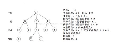 树及二叉树基本概念【数据结构】树中结点的各棵子树t是有次序的即为 Csdn博客 树及二叉树基本概念【数据结构】树中结点的各棵子树t是有次序的即为 Csdn博客
