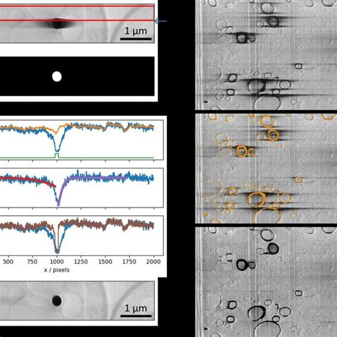 A F Sem Images And Plots Illustrating The Charge Artifact Removal Download Scientific Diagram