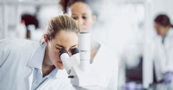 Secrets Of Naked Mole Rat Cancer Resistance Unearthed University Of