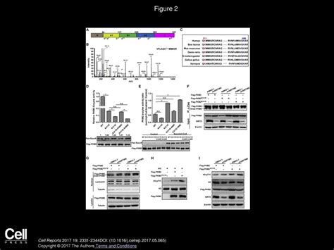 Volume 19 Issue 11 Pages June 2017 Ppt Download