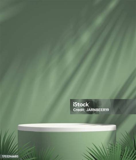 녹색과 흰색 배경에 나무 그림자 여름 배경 3d 렌더링 일러스트레이션이 있는 제품 연단 모형 디스플레이 0명에 대한 스톡 사진 및 기타 이미지 Istock