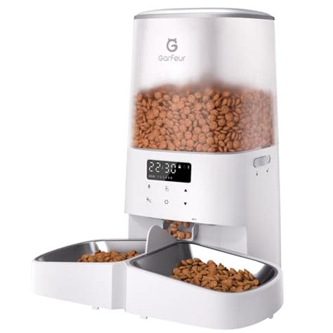 10 Best Automatic Cat Feeder For Multiple Cats