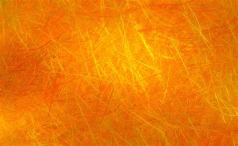 Rooter A Fascinating Comprehensive Guide