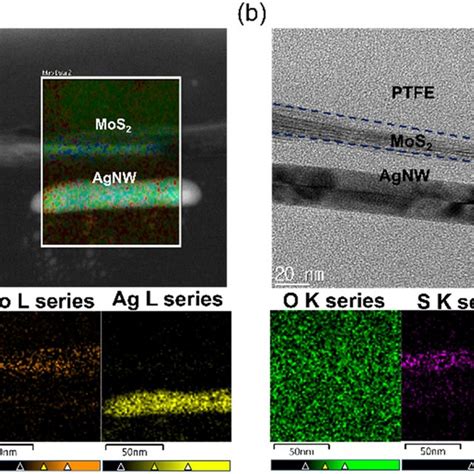 Enlarged Cross Sectional Images And Eds Mapping Images With O S Mo Download Scientific
