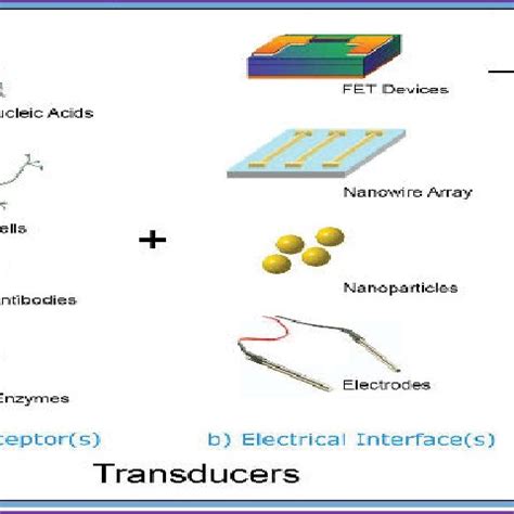 PDF Application Of Biosensor