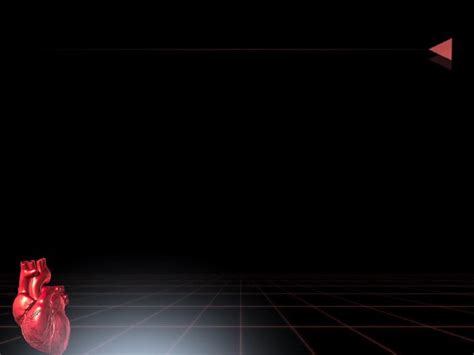 Кров та її будова та функції