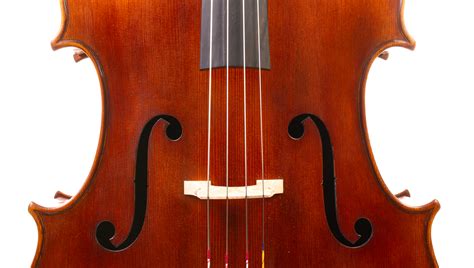 Andrzej Glodek Cello Nowy Targ 2024 Dolce Violins