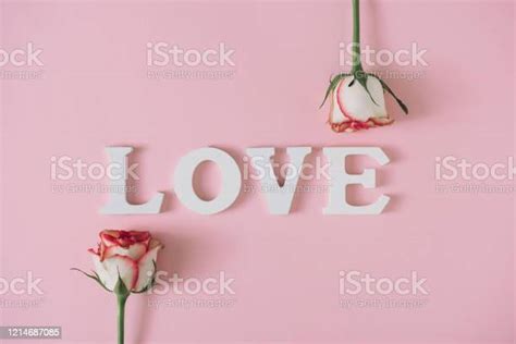 분홍색 배경에 두 장미와 사랑 자연 꽃 개념입니다 최소한의 발렌타인 데이 0명에 대한 스톡 사진 및 기타 이미지 0명 개념