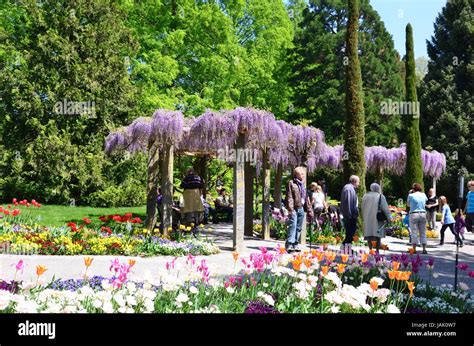 Germany Baden Wurttemberg Lake Of Constance Island Mainau Park Spring