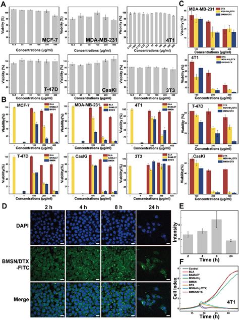 In Vitro Anticancer Activity Of Obtained Nanoparticles Relative