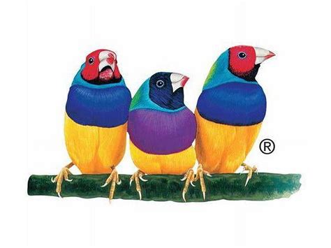 Viewsonic Expandable Inputoutput Box Expandable Inputoutput Box