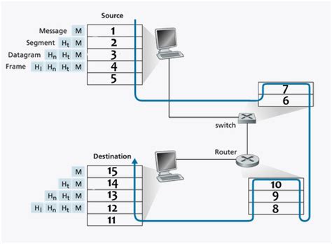 Solved In The Figure Below What Layers Correspond To Chegg
