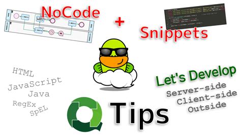 Developer Tips Questetra Support