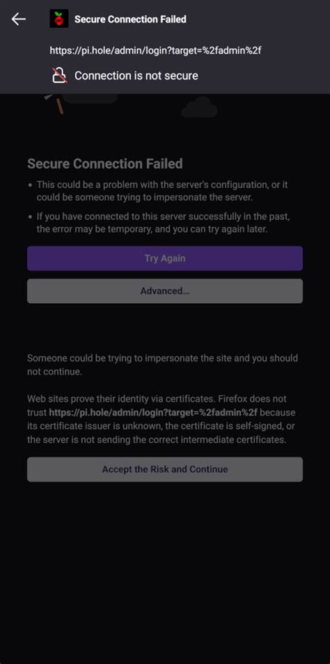 TLS SSL Pi Hole Documentation