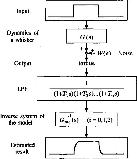 Figure 4 From A Whisker Tracing Sensor With 5 Spl Mum Sensitivity