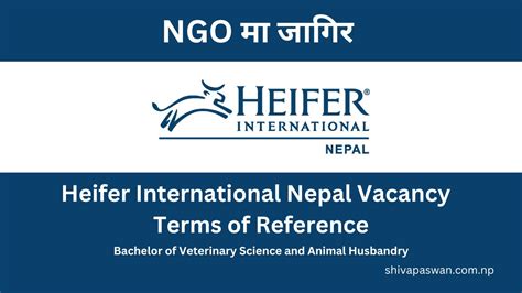 Heifer International Nepal Vacancy For Terms Of Reference