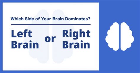 Left Brain Or Right Brain Test Which Side Of Your Brain Dominates