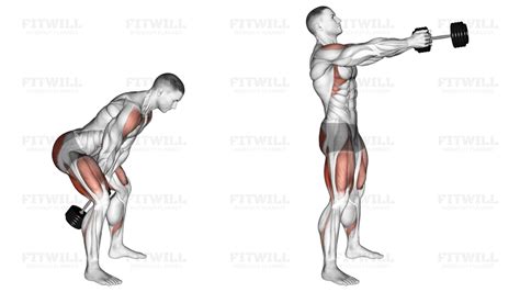 Dumbbell Swing Exercise Video Fitwill