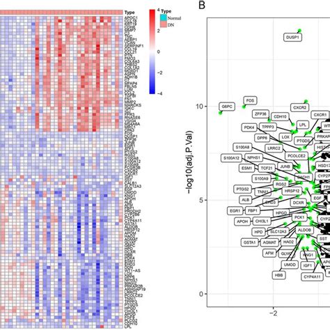 heatmap and volcano map of differentially expressed genes degs