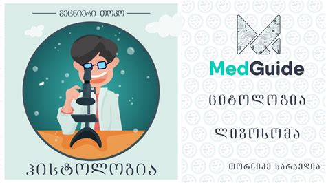 Medguide მედგიდი ჰისტოლოგია ციტოლოგია ლიზოსომა Youtube