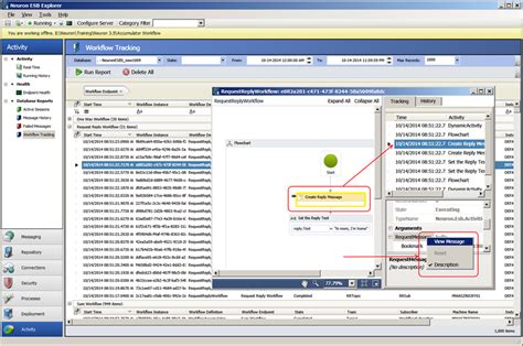Neuron Esb Workflow Environment Peregrine Connect