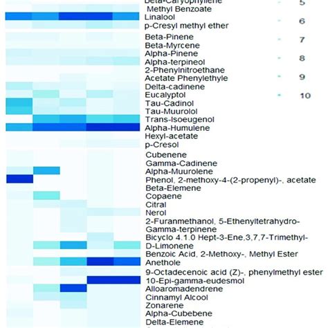 Heatmap Of Total Volatile Compounds Dynamics Characterized By Gc Ms In