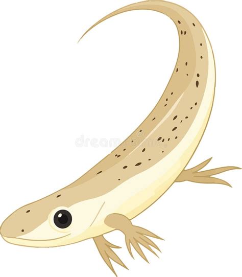 Simple Vector Tadpole Clipart Stock Vector Illustration Of Designs